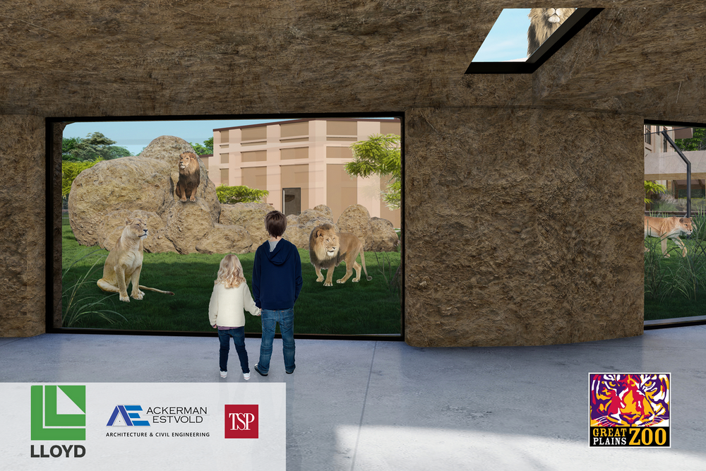 Get a look at the lion exhibit coming to the zoo
