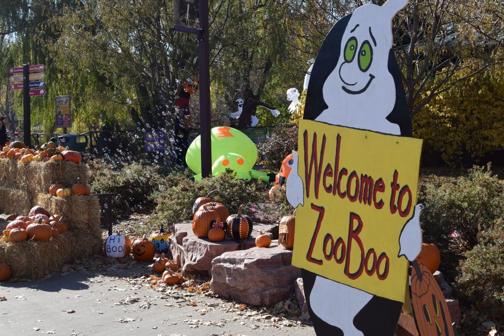 How the zoo and butterfly house are celebrating spooky season