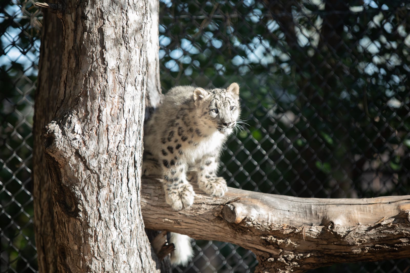 Your week, simplified: Oct. 22, 2025